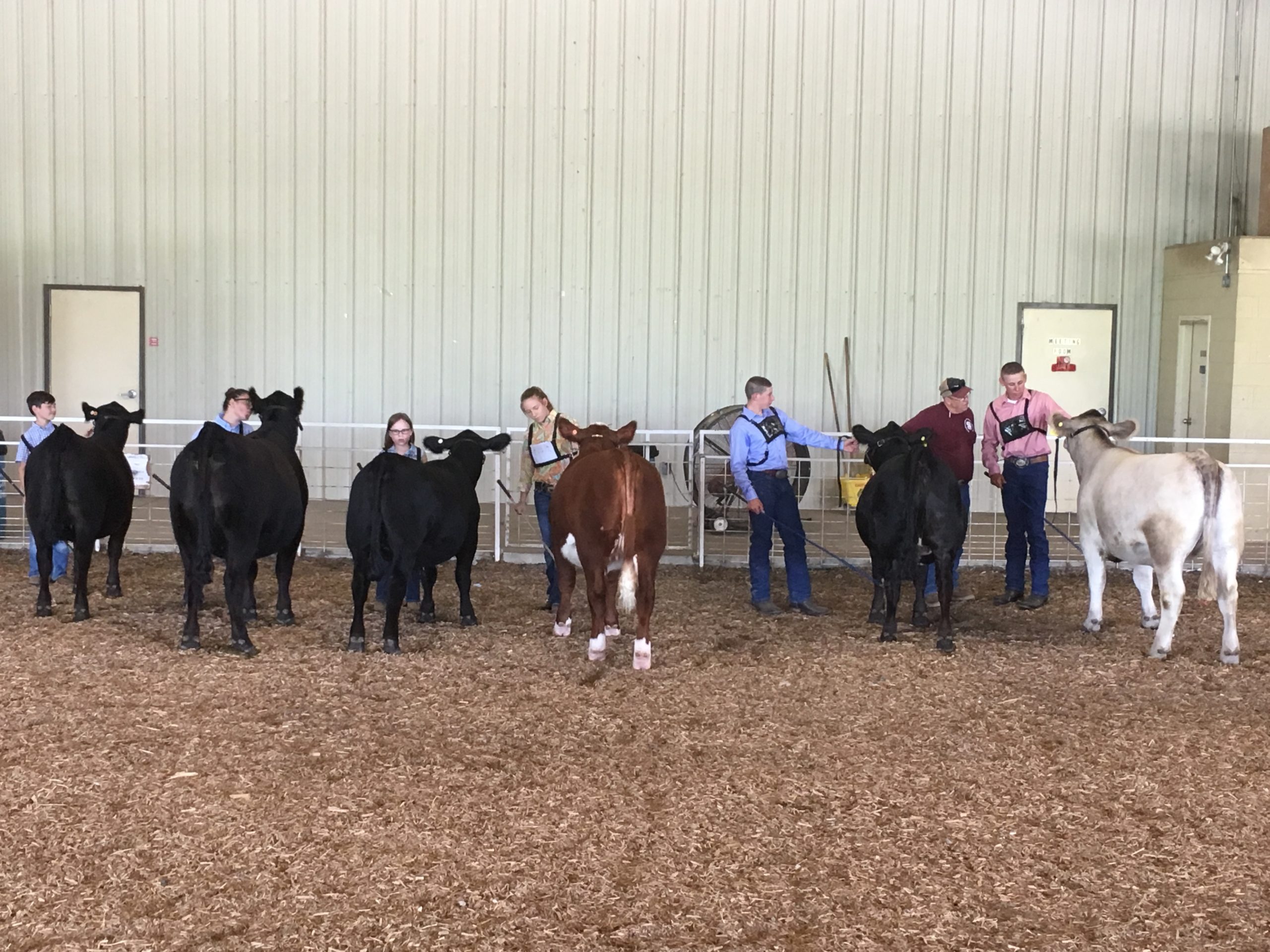 4-H Livestock Shows | Bedford County